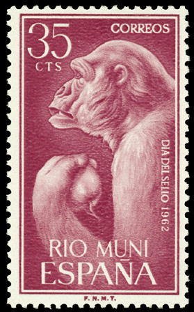 Rio Muni - 35c stamp of 1962 (#108562) | StampData